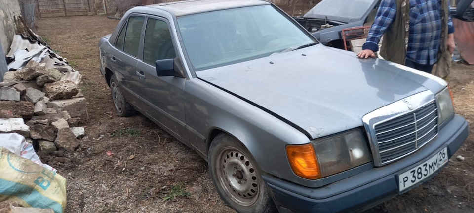 Мурзик w124 — DRIVE2
