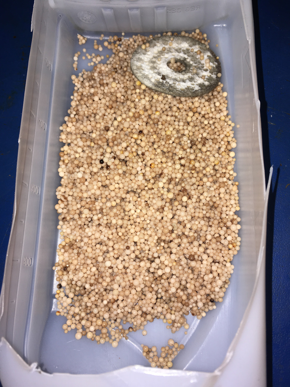 Запись, 10 января 2019 — DRIVE2