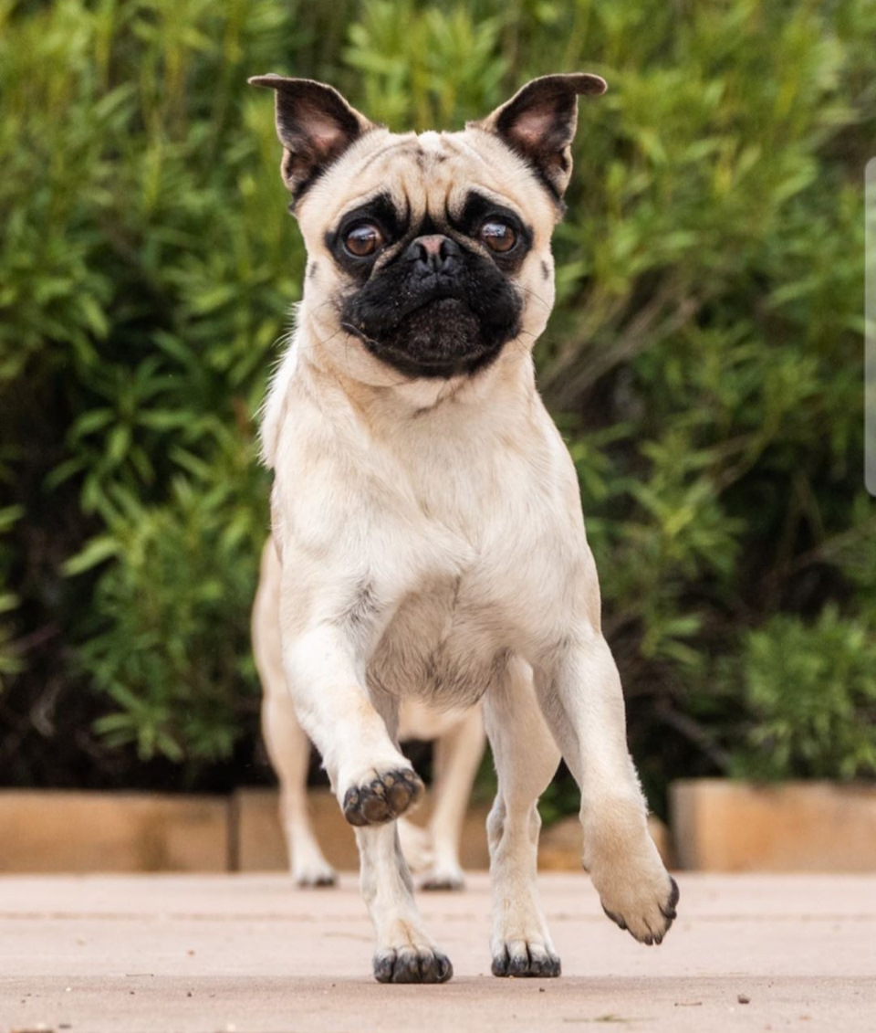 Pioneer avx 2600bt (Help) ( решено) — Honda Fit (2G), 1,5 л, 2011 года ...