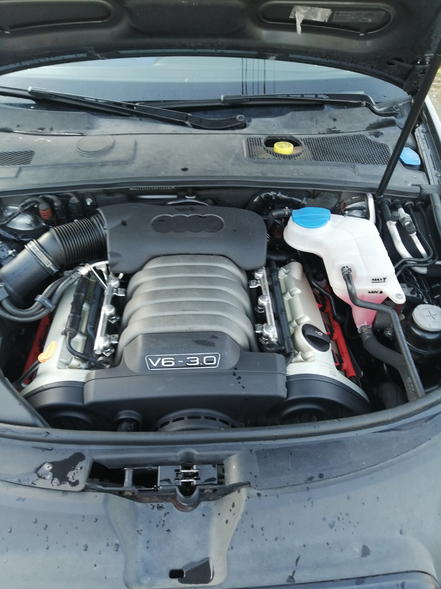 Немного чистоты под капотом после зимней грязи. — Audi A6 (C6), 3 л ...