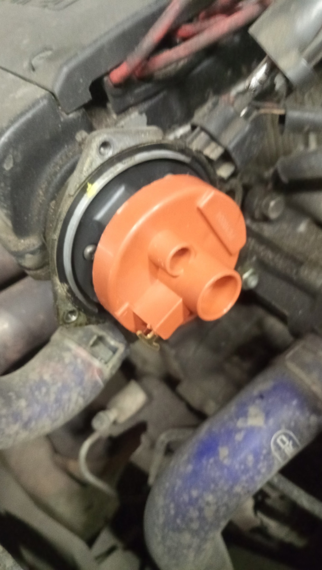 Подготовка к летнему сезону. — Toyota Sprinter Trueno (111), 1,6 л ...