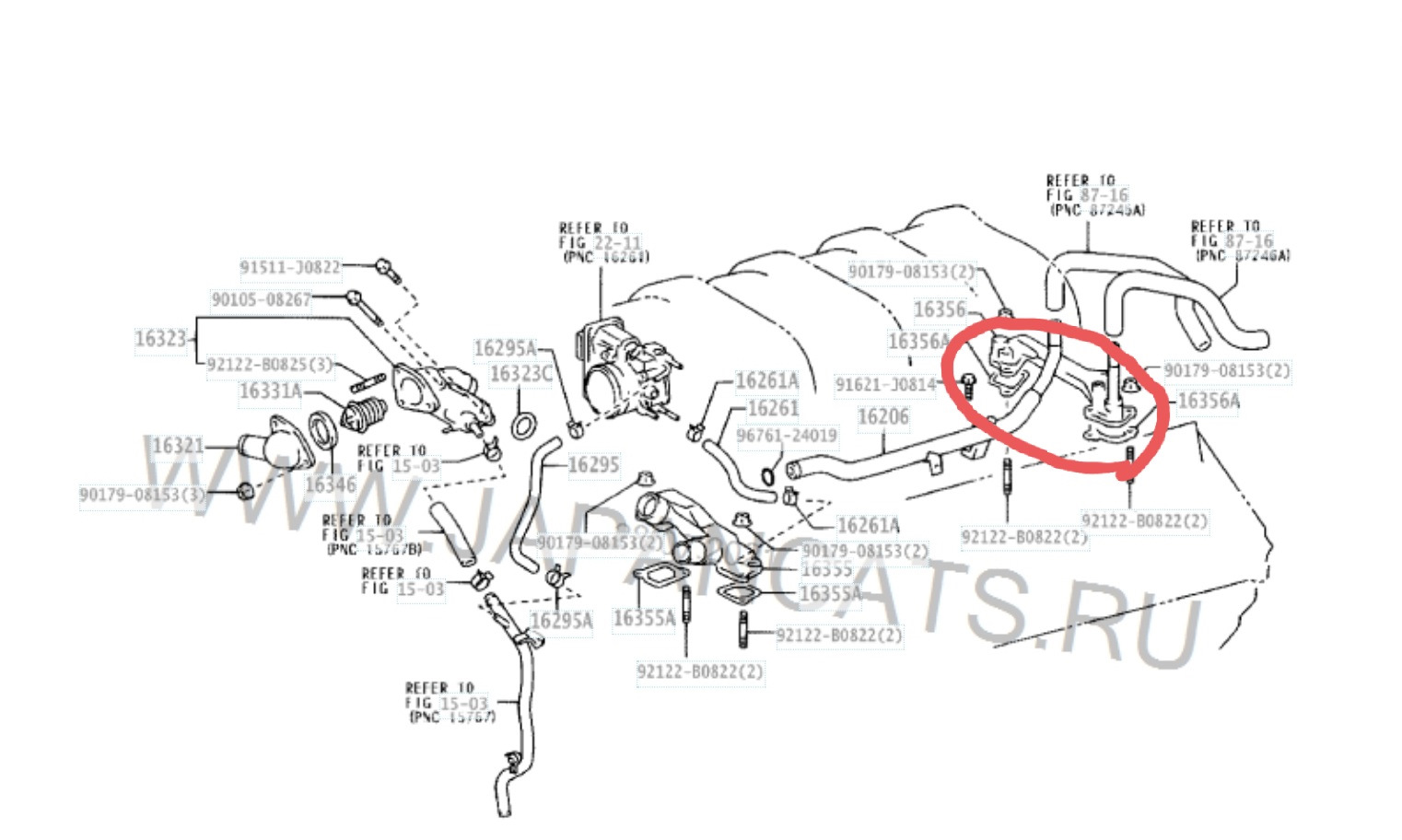 #Аntifreeze — Lexus GX (UZJ120), 4,7 л, 2008 года | расходники | DRIVE2
