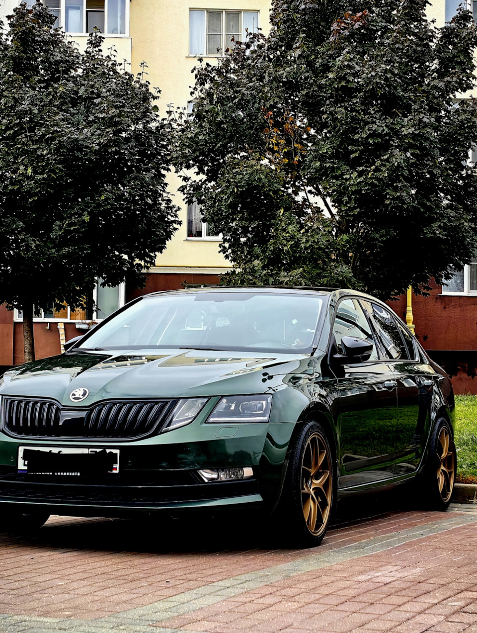 Муки выбора летней резины 225/40/R18 — Skoda Octavia A7 Mk3, 1,8 л ...