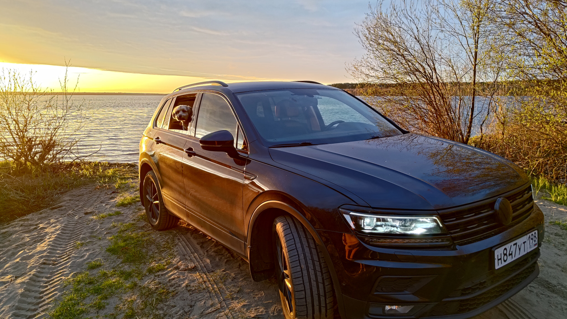 Volkswagen Tiguan (2G) 2.0 бензиновый 2018 | на DRIVE2