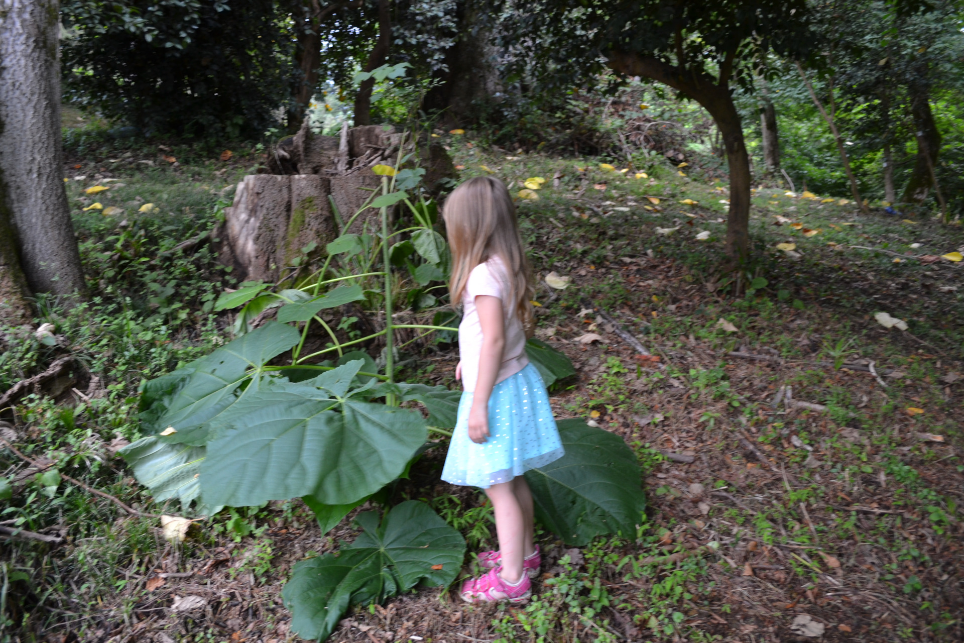 Вторая жизнь k04-15 c aliexpress — Audi A6 Avant (C5), 1,8 л, 1998 года | своими руками | DRIVE2