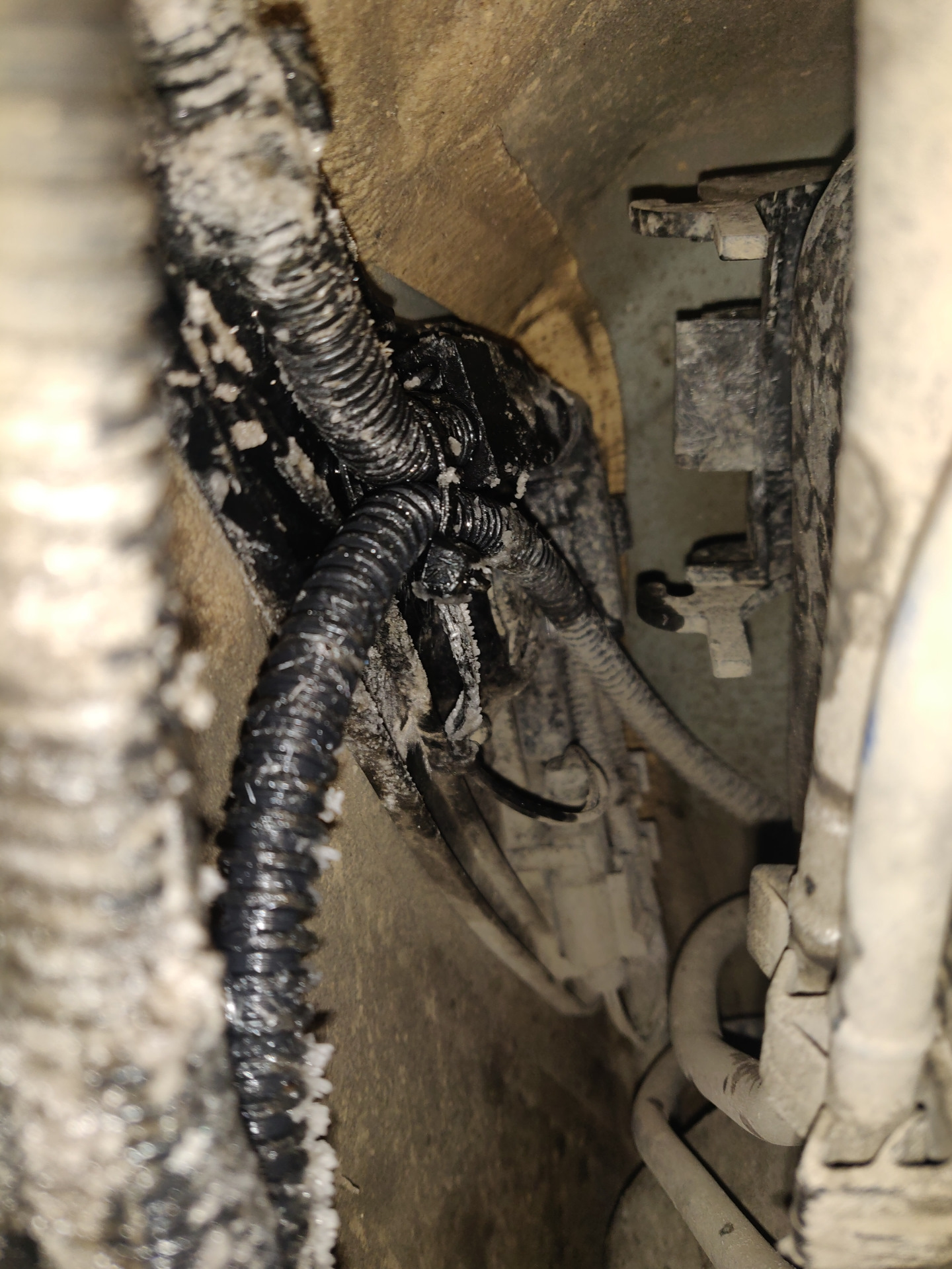 21. ТО 228 т.км. и AdBlue (DEF) или P20E800 — Volkswagen Passat B8, 2 л ...