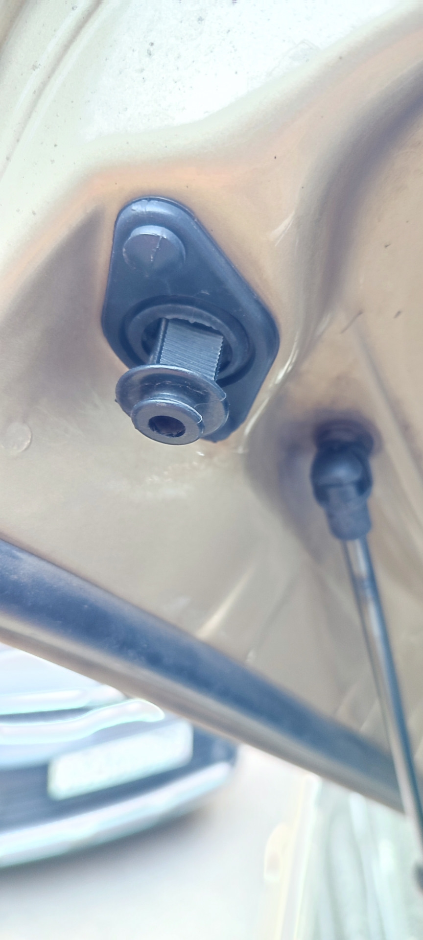 Упоры крышки багажника — Volkswagen Passat Variant (B5), 1,8 л, 2002 ...