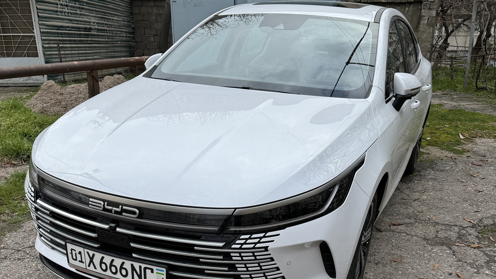 BYD Chazor 1.5 гибридный (Plug-in) 2023 | на DRIVE2