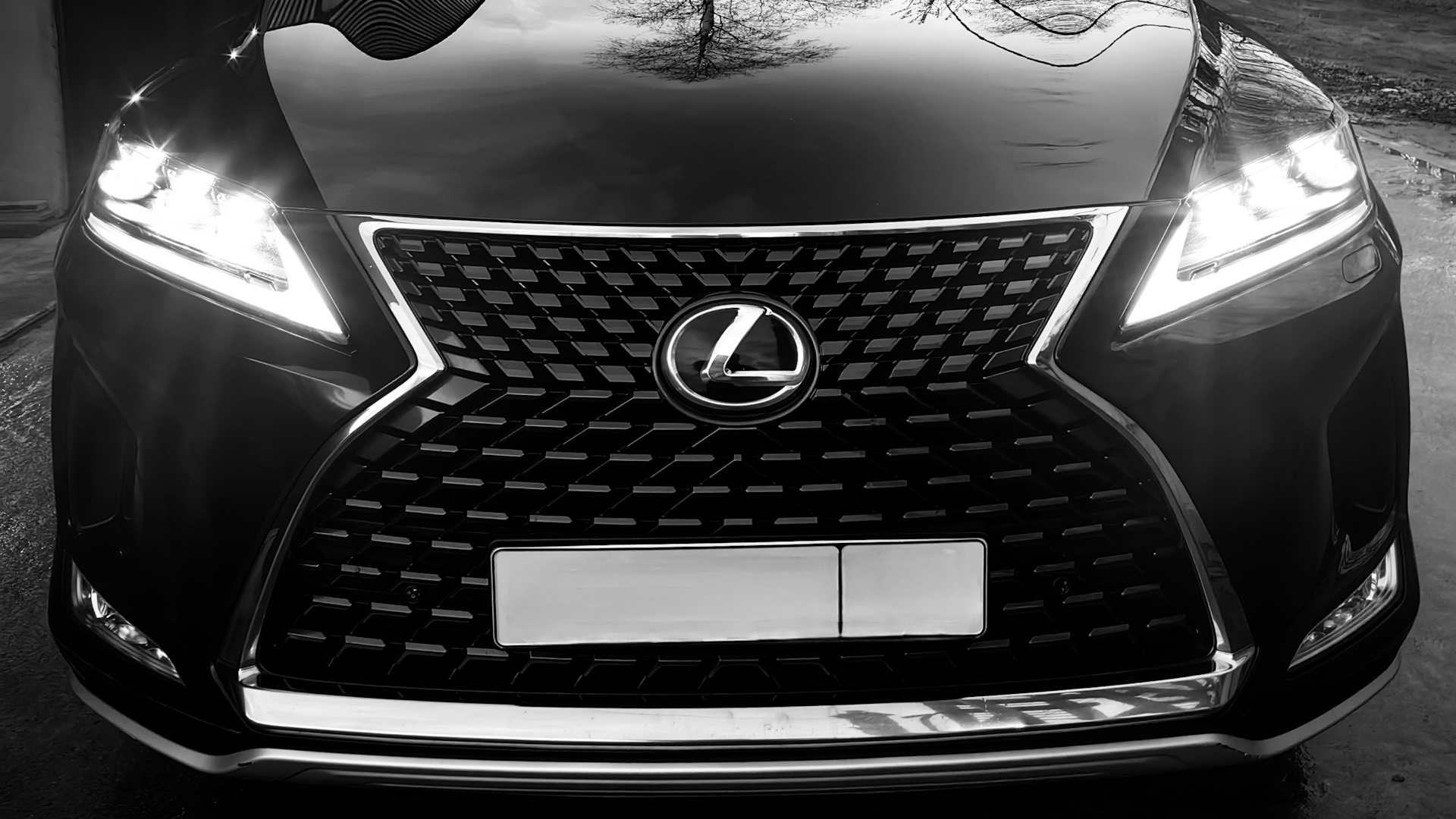 Lexus RX (4G) 2.0 бензиновый 2021 | LEX на DRIVE2