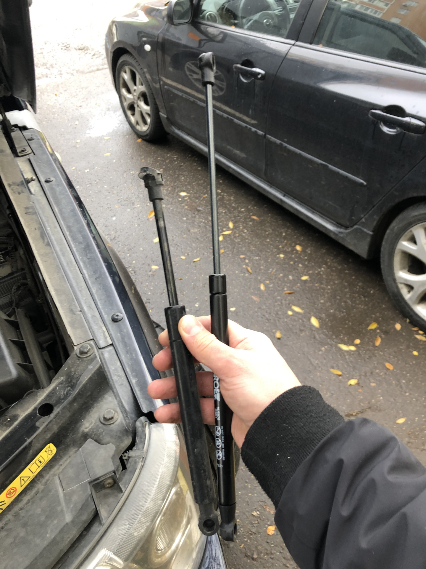 7. Покраска поводков дворников и «лопухов», газовые упоры капота, боль ...