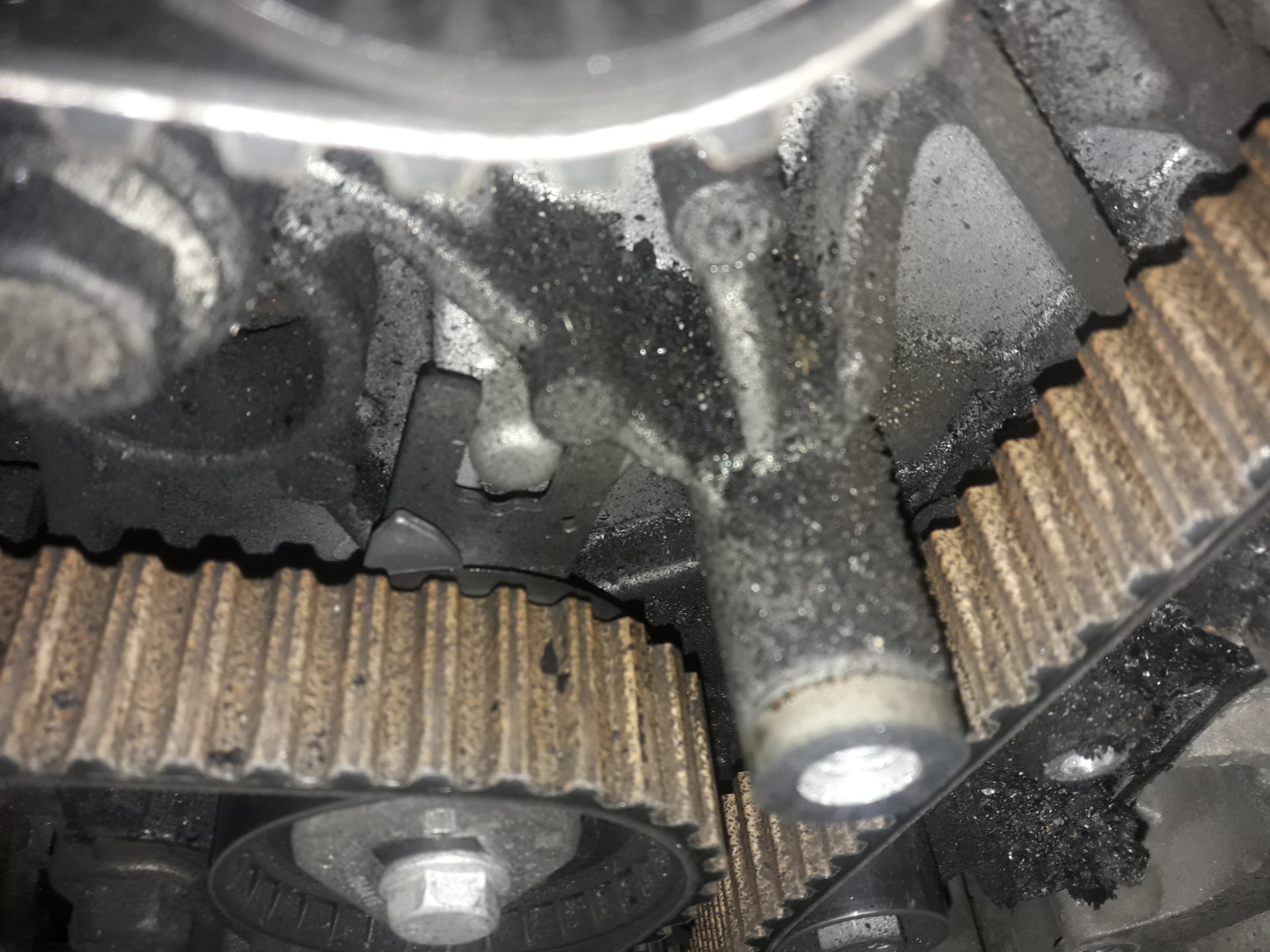 B20DTH замена комплекта ремня ГРМ — Opel Zafira Tourer, 2 л, 2016 года ...