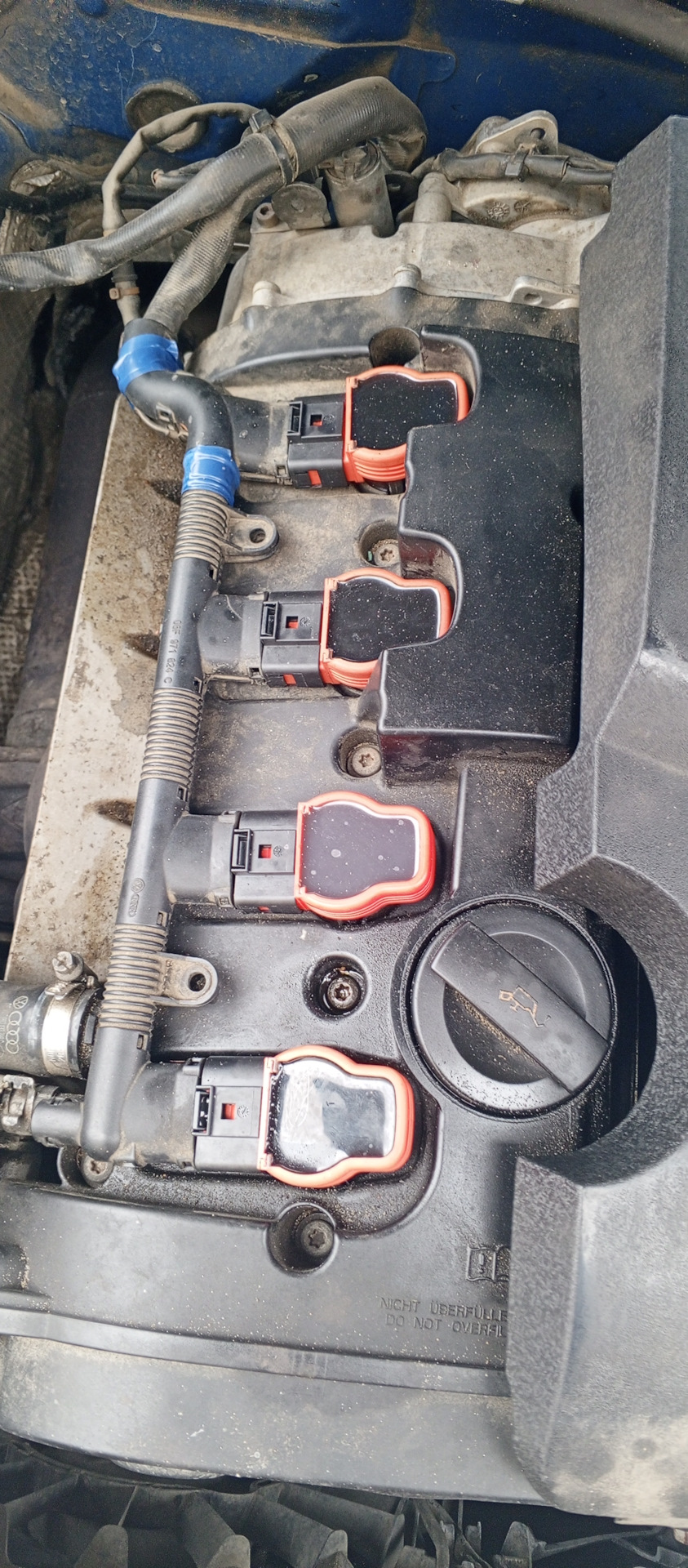 Красные катушки — Audi A4 (B7), 2 л, 2007 года | запчасти | DRIVE2