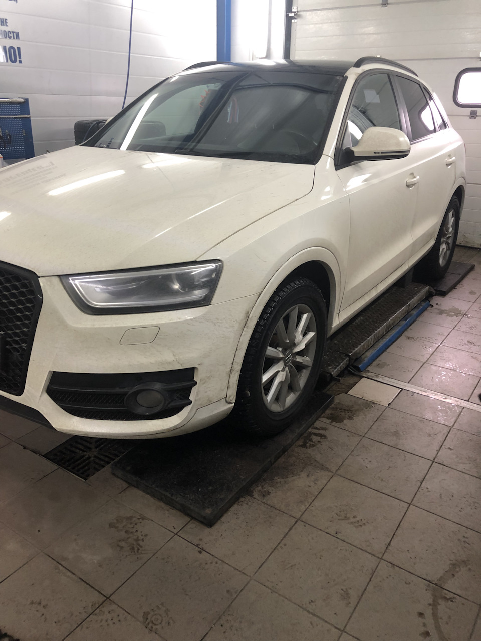 Первое свидание — Audi Q3 (1G), 2 л, 2012 года | колёсные диски | DRIVE2