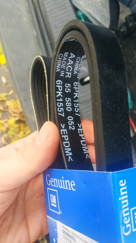 55580052 Ремень приводной Aveo T300 GM | Запчасти на DRIVE2