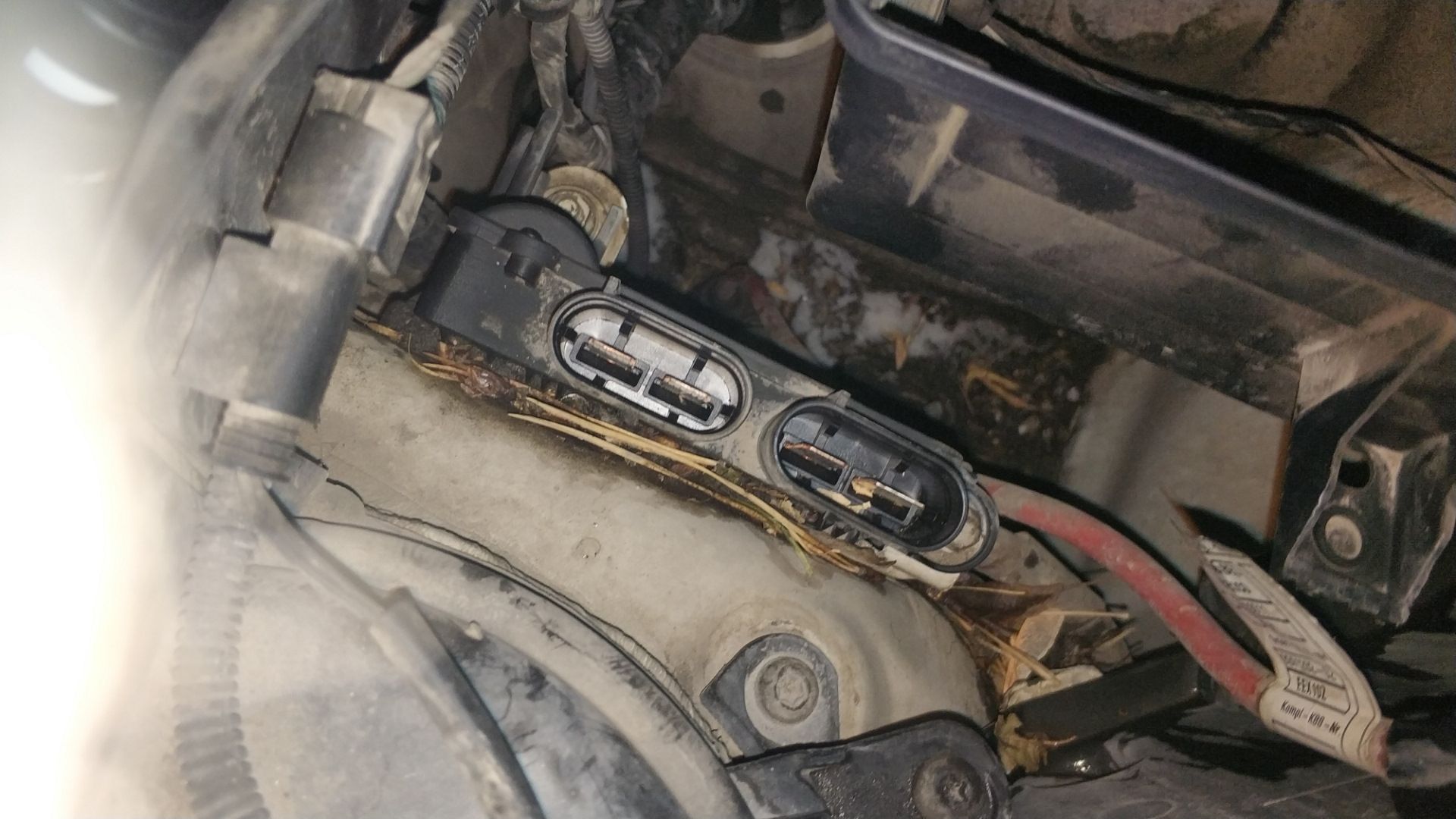 Замена распределителя b+ пд — BMW X3 (F25), 2 л, 2011 года | своими ...