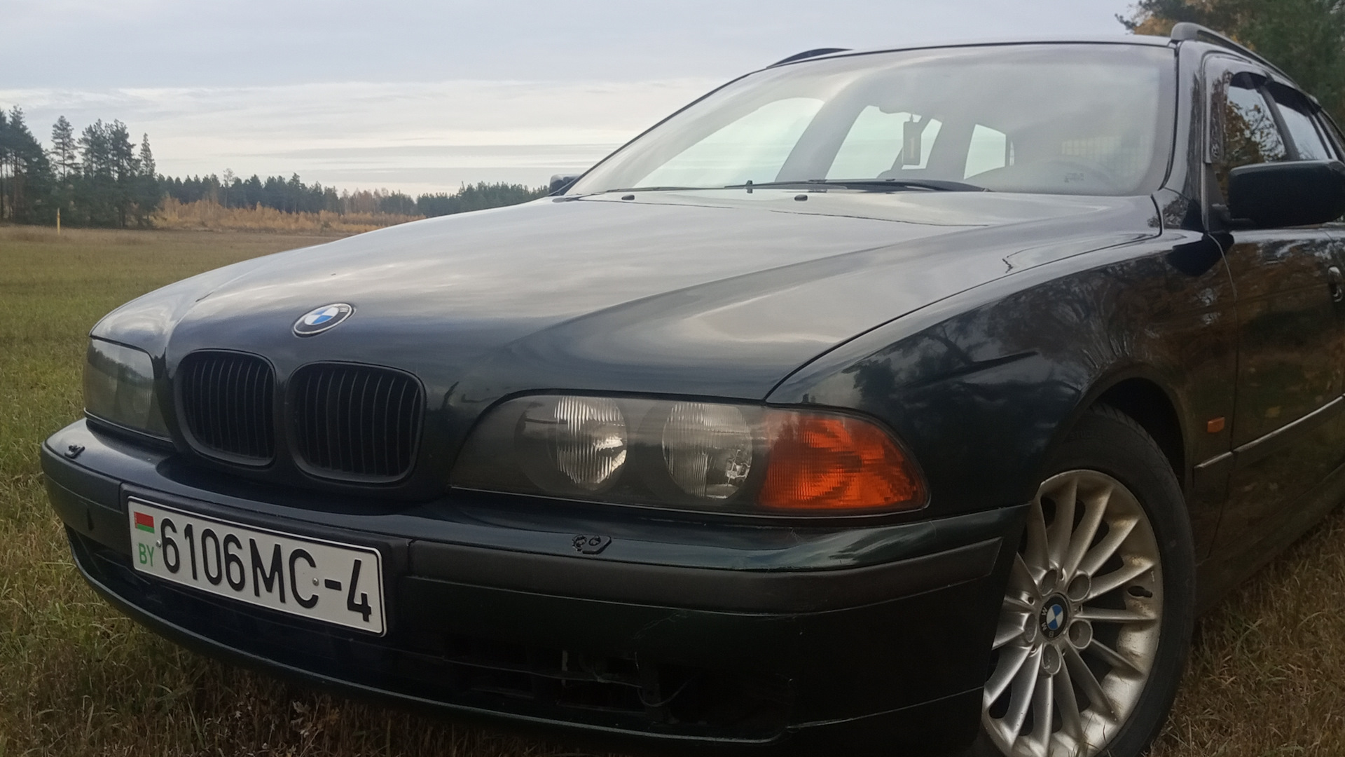 BMW 5 series Touring (E39) 2.5 дизельный 1999 | Diesel frog на DRIVE2