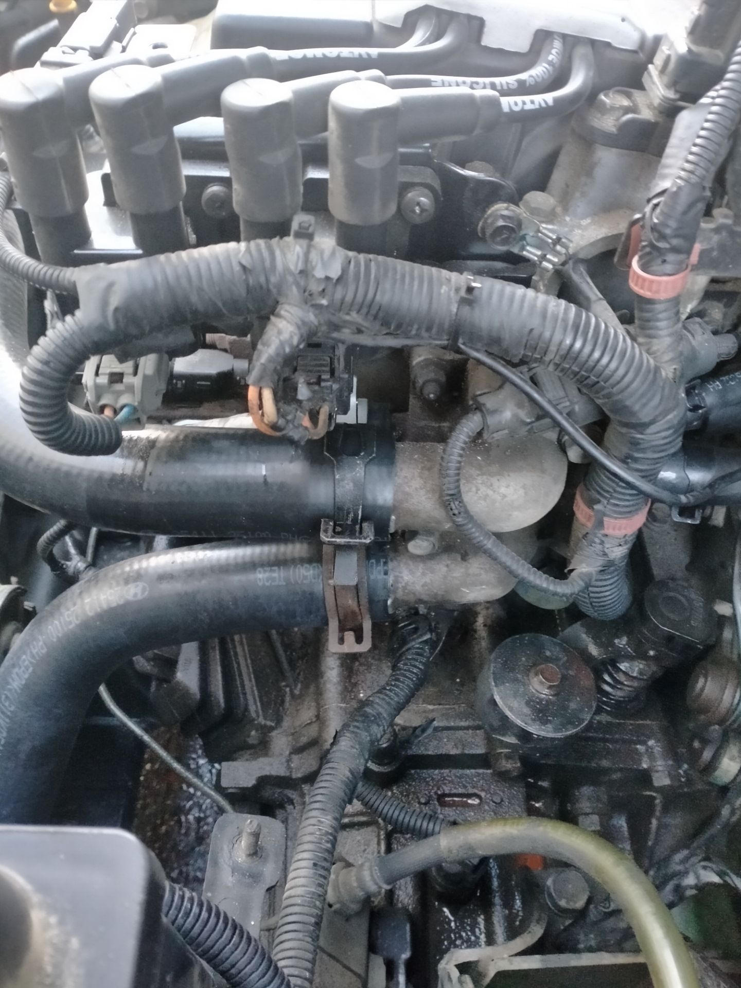 Замена всех патрубков системы охлаждения — Hyundai Accent (2G), 1,5 л ...