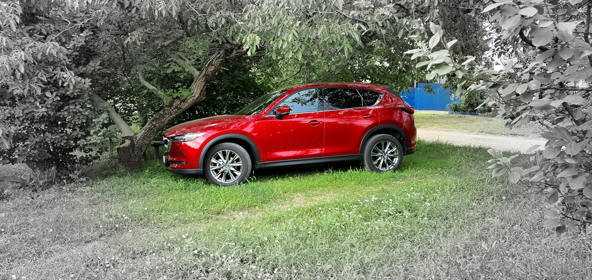 Продал красотку. — Mazda CX-5 (2G), 2,5 л, 2020 года | продажа машины | DRIVE2