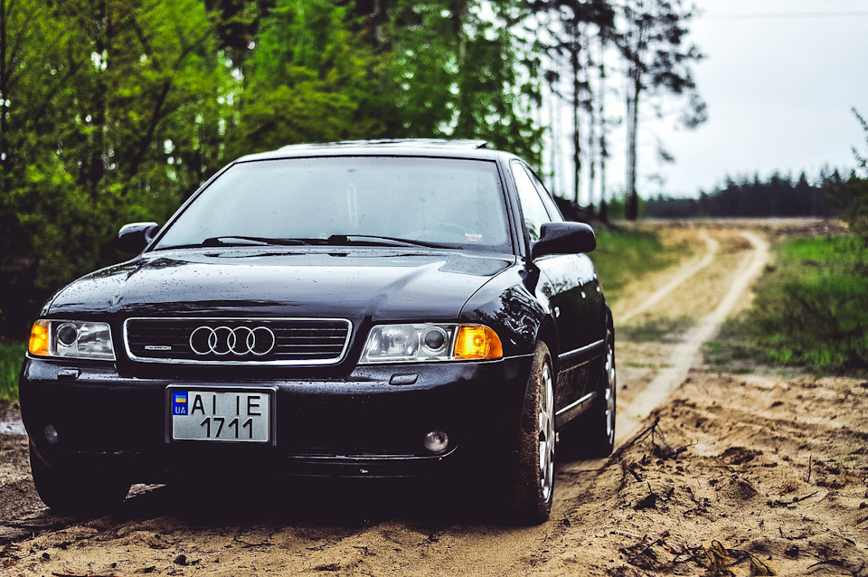 Несколько отличных кадров от любимой супруги — Audi A4 (B5), 1,8 л, 2001 года | фотография | DRIVE2