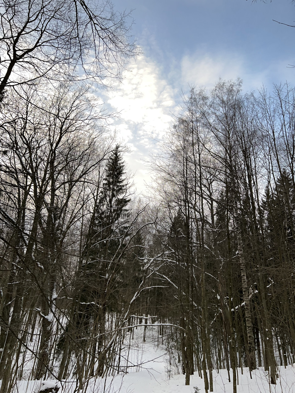 Традиционно февральский фотосет на природе. — DRIVE2