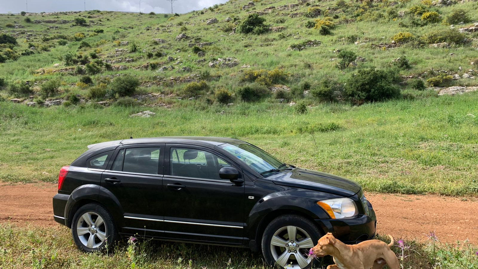 Dodge Caliber 2.0 бензиновый 2012 | на DRIVE2
