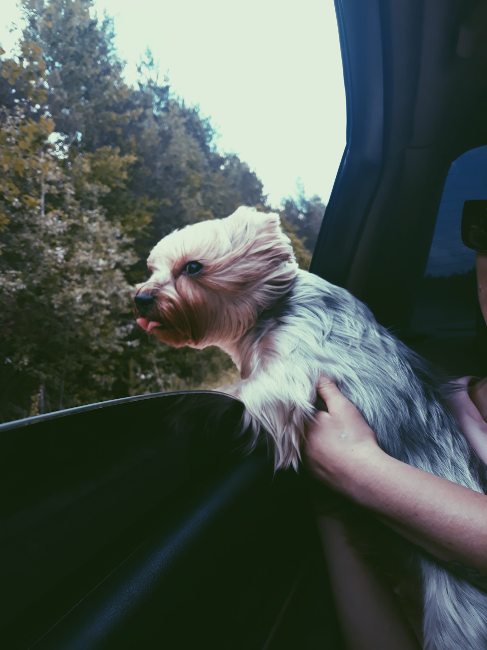 Вопрос по трубке маслоподачи на турбину — Audi A4 (B5), 1,8 л, 2001 ...