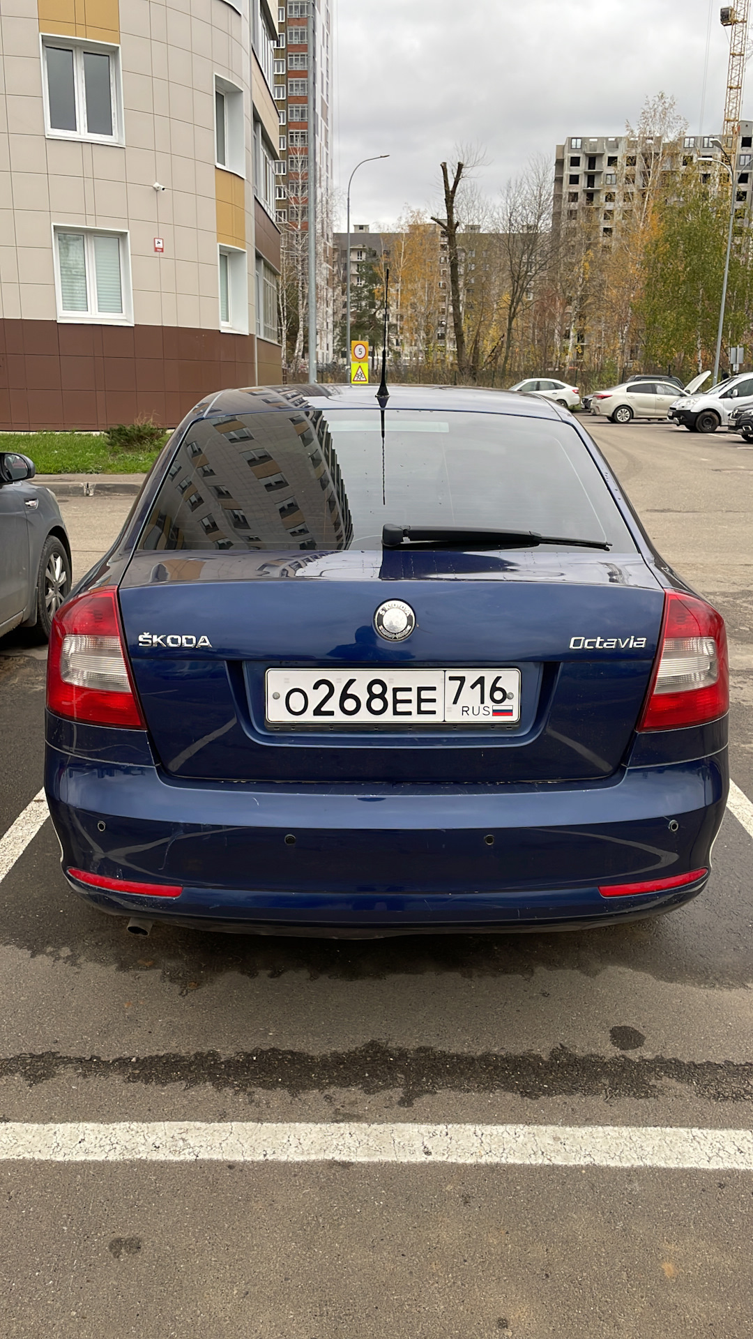 Логотип — Skoda Octavia A5 Mk2, 1,6 л, 2012 года | просто так | DRIVE2