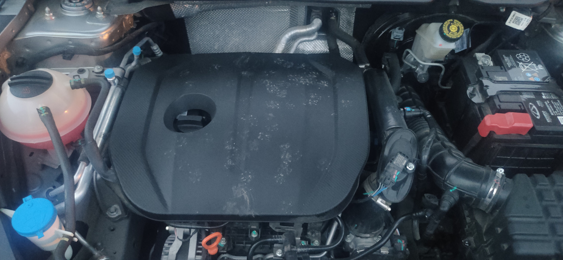 Omoda c5 и коты, которые любят греться на моторе. — Omoda C5, 1,5 л ...