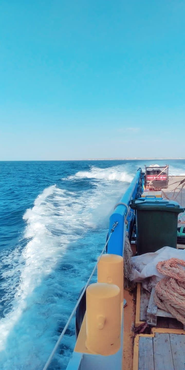 Запись, 28 января 2022 — DRIVE2