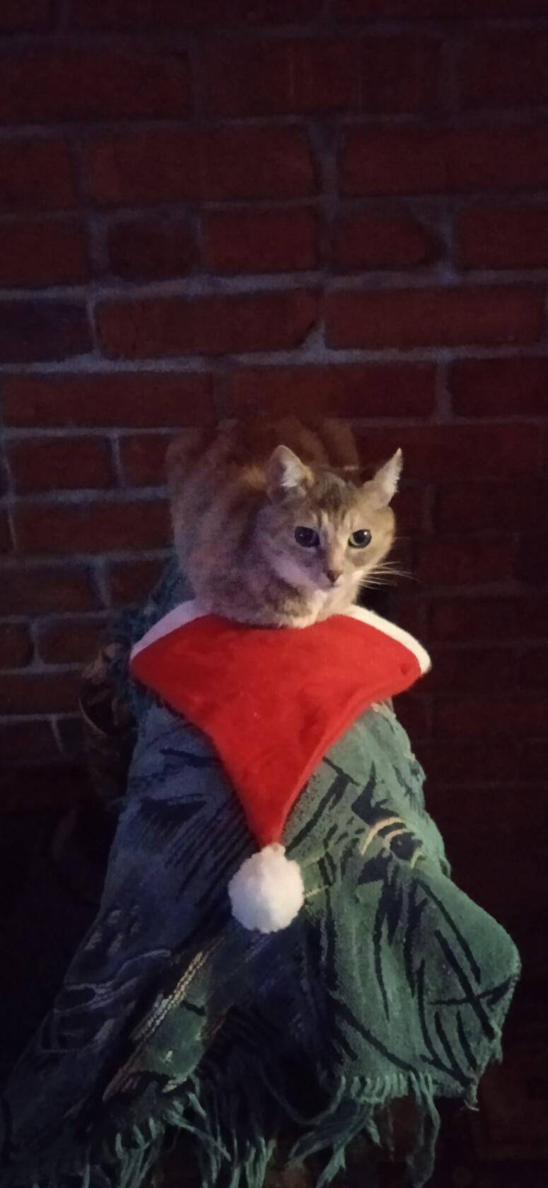 Запись, 6 мая 2021 — DRIVE2