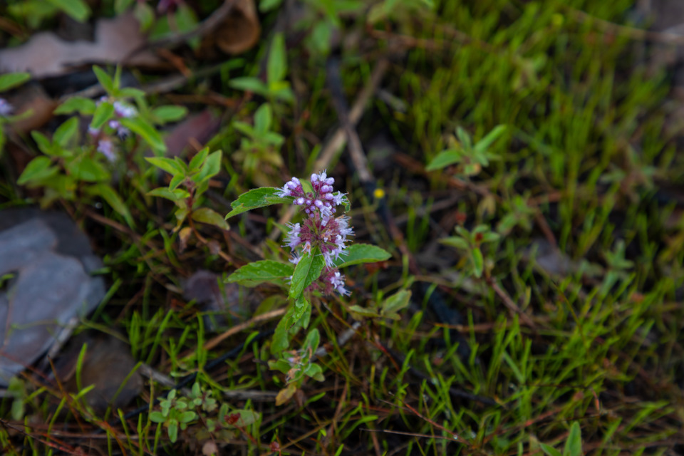 Любимые места — Land Rover Defender (L315/L316), 2,4 л, 2007 года ...