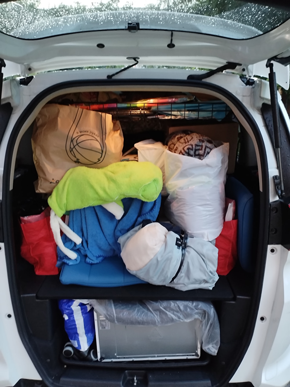 Прошивка ПО, коврики и поездка в Москву — Honda Freed+, 1,5 л, 2019 ...