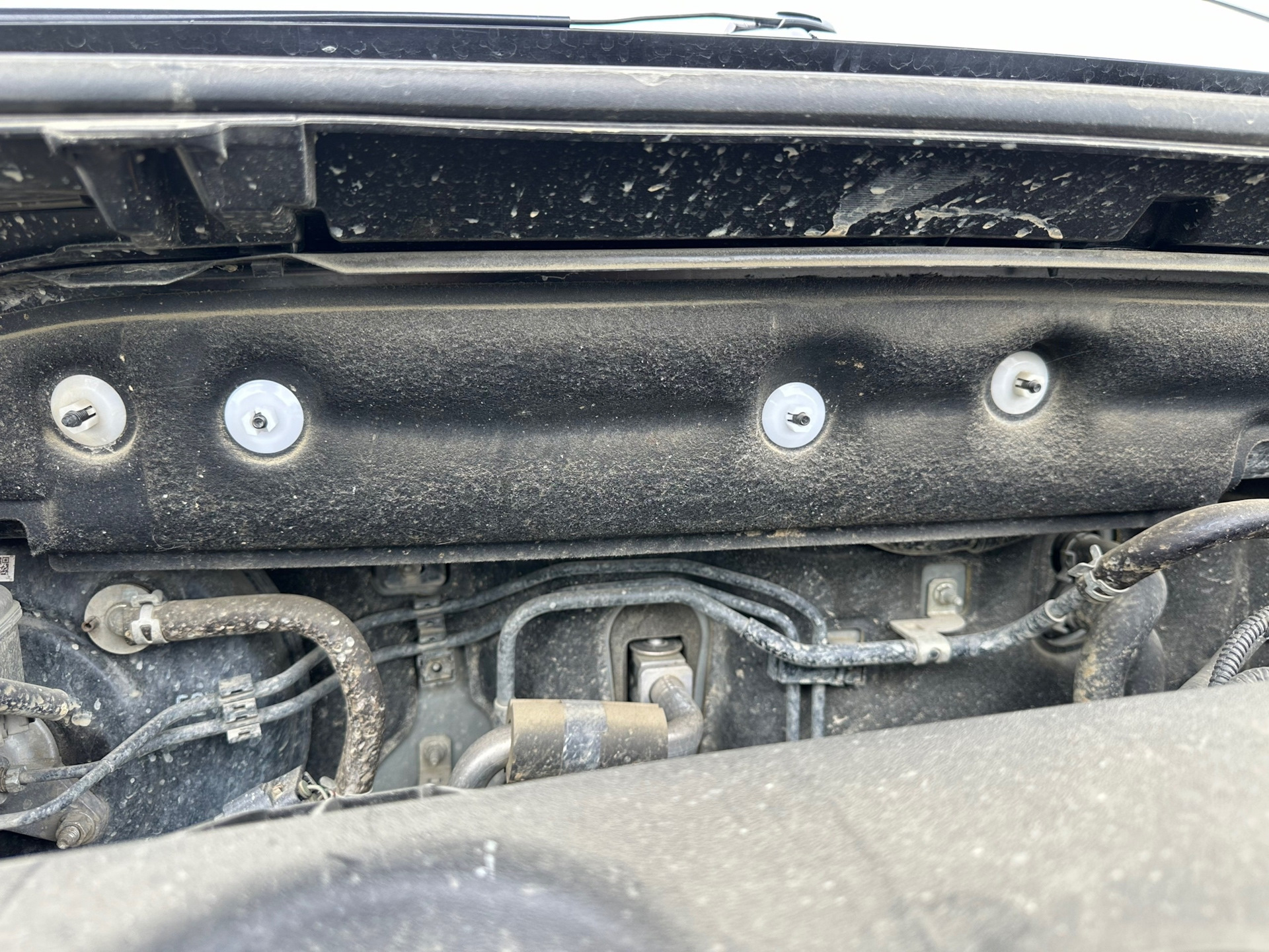 Ништяки — Toyota Harrier (3G), 2 л, 2019 года | аксессуары | DRIVE2