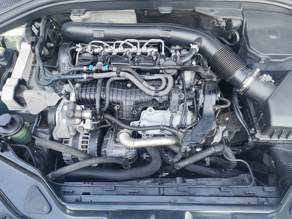 Проблема с ошибками P2009(00), P00BC(00) найдена и устранена. Черепашка ...