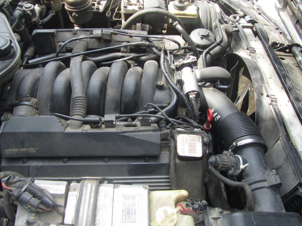 Двигатель BMW M60B35/M62B35 с МКПП и карданом на BMW 5 series (E34 ...