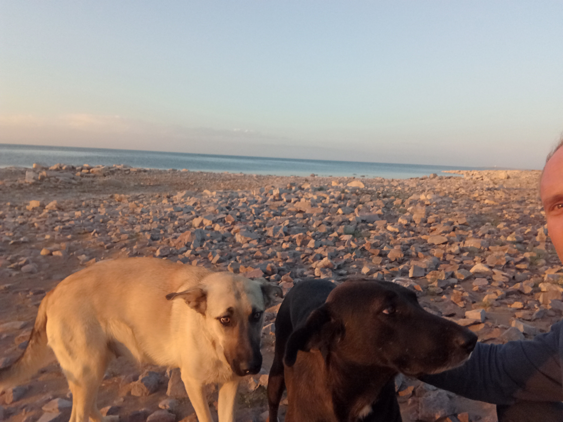 Пригрел на свою голову! — Suzuki Every (DA52), 1 л, 2005 года | просто ...