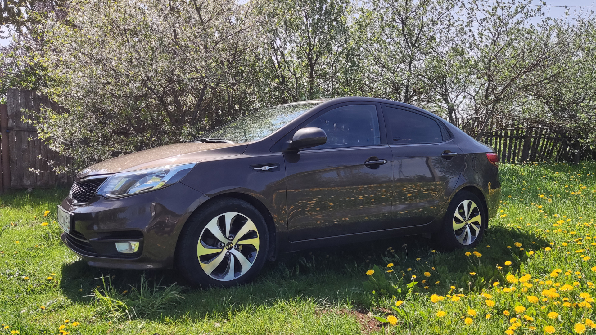 KIA Rio (3G) 1.6 бензиновый 2015 | Chocolate на DRIVE2