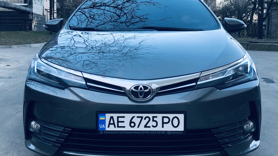 Toyota Corolla (160) 1.6 бензиновый 2016 | Corolla Falcon Grey на DRIVE2