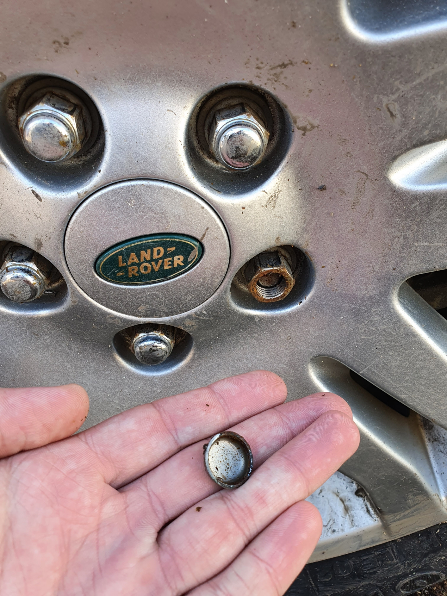 49. Техобслуживание или немного о расходниках… — Land Rover Freelander ...