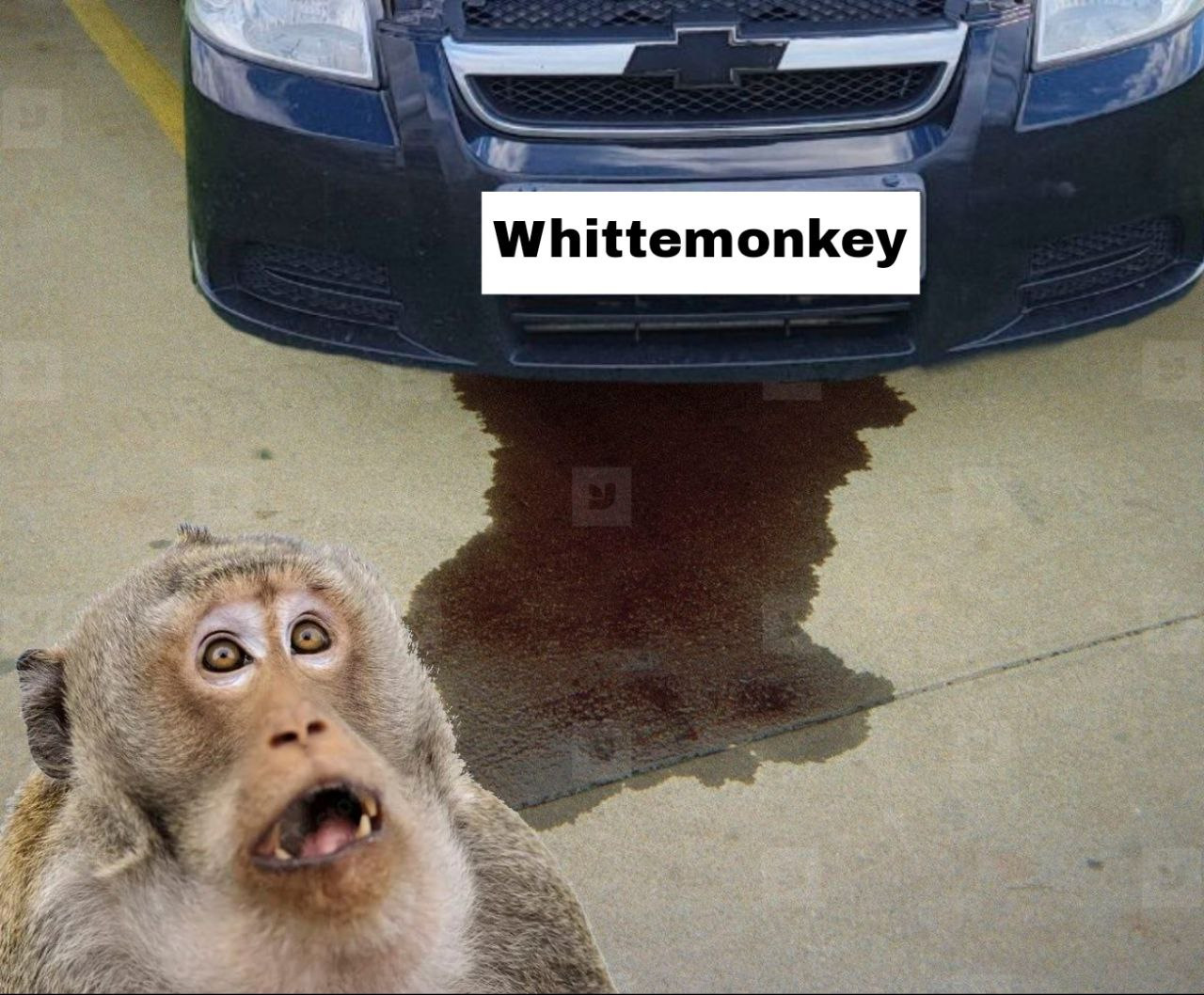 Ремонт кпп Y4M — Chevrolet Aveo Sedan (1G), 1,2 л, 2011 года | визит на ...