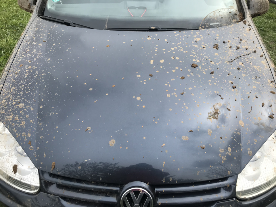 Golf & off road — Volkswagen Golf Mk5, 1,4 л, 2007 года | эвакуация ...