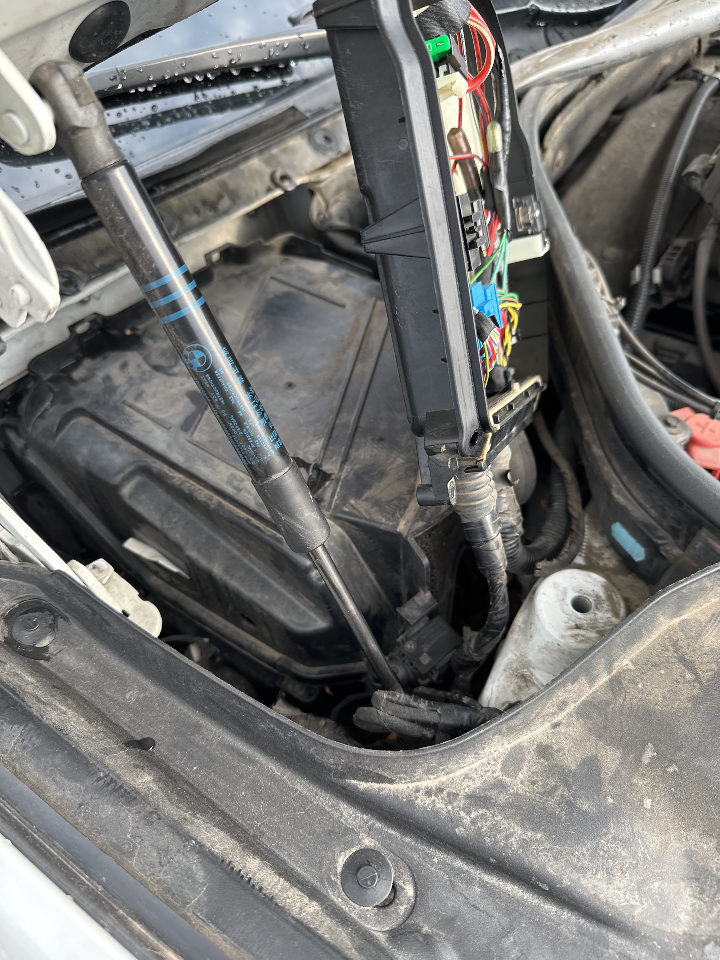 Чистка фильтра грубой очистки + мойка двигателя — BMW 5 series (F10), 3 ...