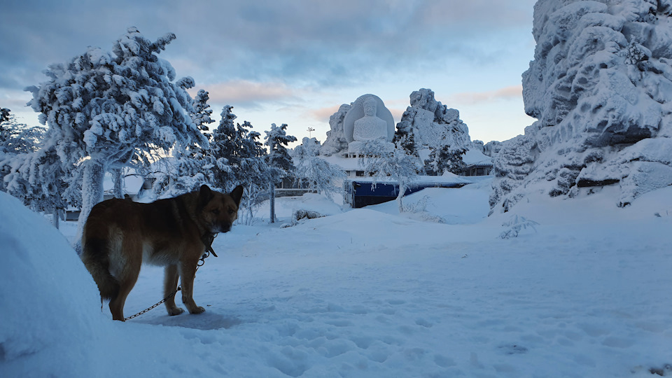 Замена стоковых тормозов на AMG пакет(спортпакет) — Mercedes-Benz E ...