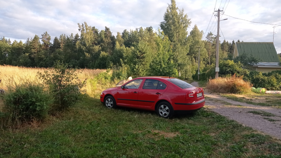 Сказ о том, как я второй раз уложил механику :) — Skoda Octavia A5 Mk2 ...