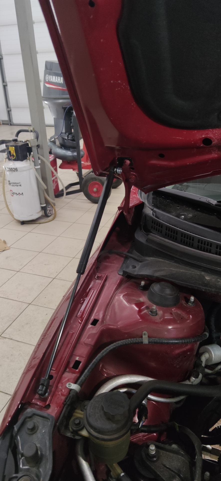 Установка газовых упоров капота — KIA Cerato (2G), 1,6 л, 2011 года ...
