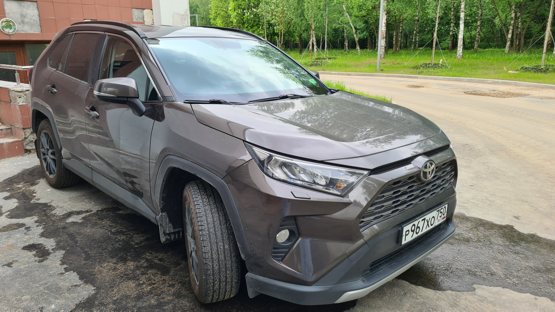 Антидождь Glaco от Soft99 — Toyota RAV4 (5G), 2 л, 2019 года | аксессуары | DRIVE2