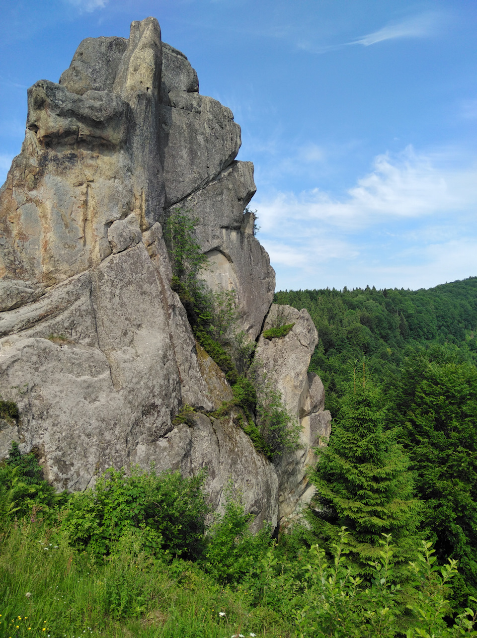 Замена Сцепления DSG-7 — Skoda Octavia A7 Mk3, 1,2 л, 2014 года | визит ...