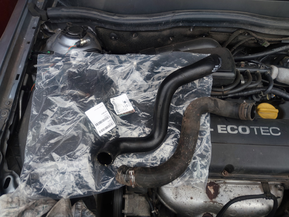 Не дожидаясь! Замена второго патрубка радиатора — Opel Astra H, 1,6 л ...