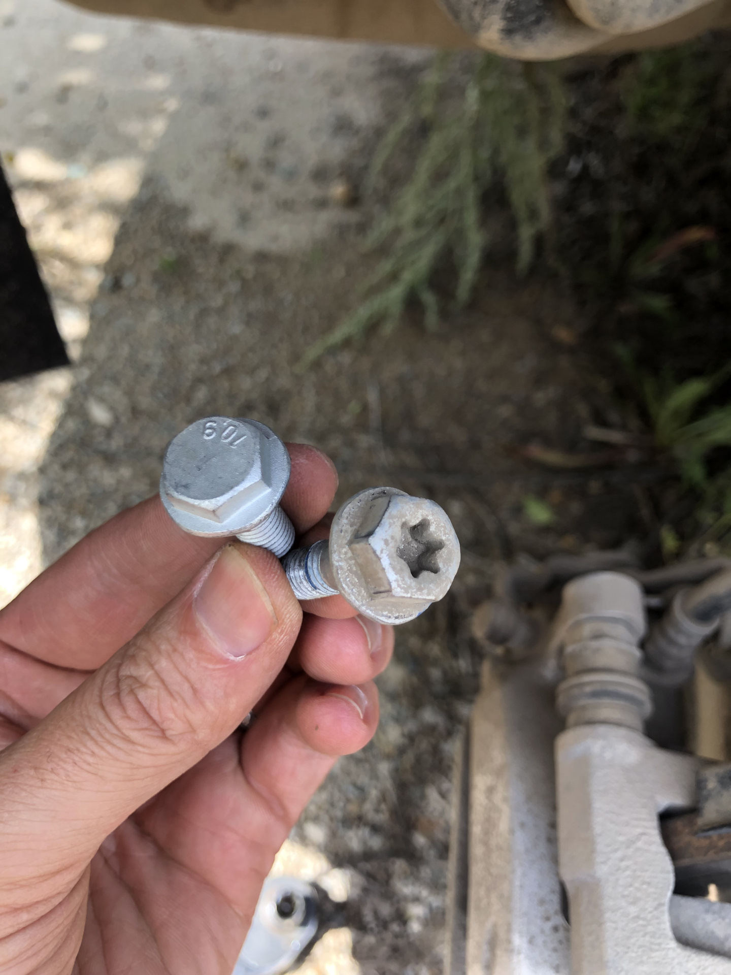 Новые колодки — Lada Vesta (NG), 1,6 л, 2023 года | запчасти | DRIVE2