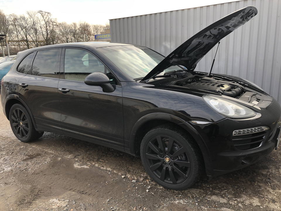 ТО — Porsche Cayenne (2G) 958, 3,6 л, 2012 года | плановое ТО | DRIVE2
